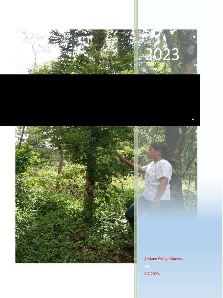 0001 Silvica de Canahuance | PDF | Semilla | Germinación
