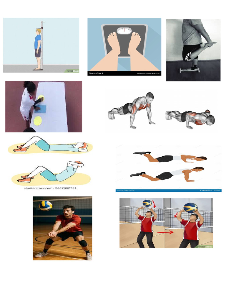 Pe Picture 1 | PDF