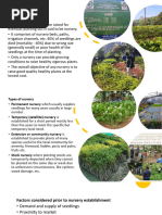 Nursery Bed Types and Seed Sowing Guide | PDF | Plant Nursery | Sowing