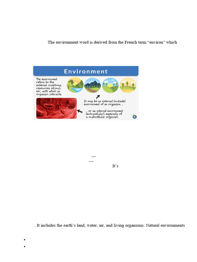 Unit 1 Environment & It's Issues | PDF | Natural Environment | Ecosystem