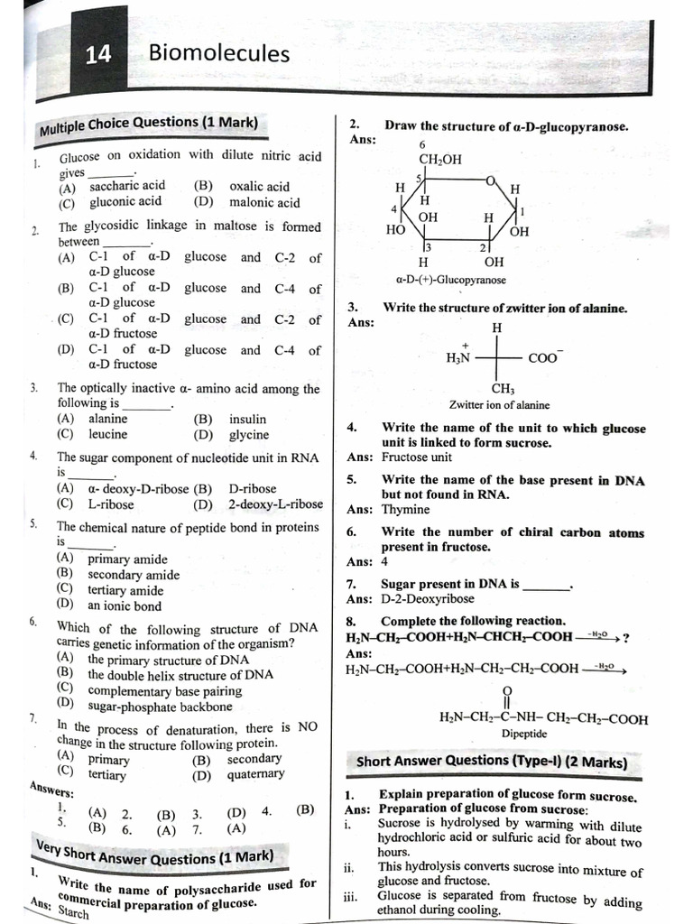 14. Biomolecules Question Bank ?_de723a6a Fc47 41ee 9ff8 3b54696611d4 | PDF
