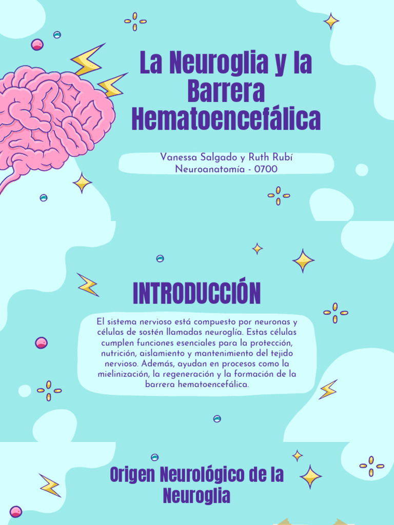 Neuroglia y Barrera Hematoencefálica | PDF | Mielina | Axon