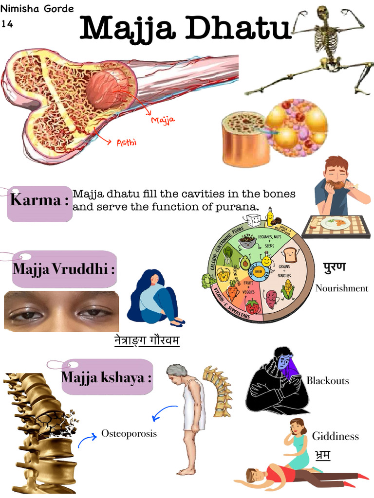 Majja Dhatu | PDF