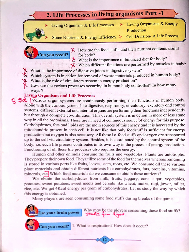 Life Processes in Living Organisms Part 1 | PDF