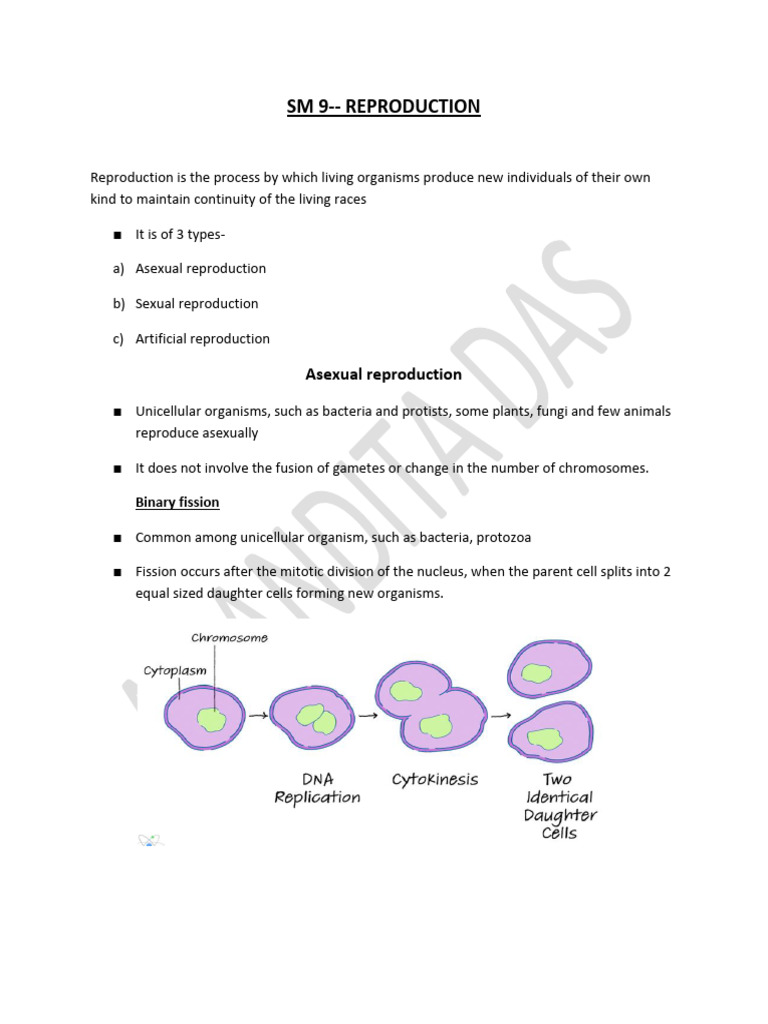 9th SM Reproduction | PDF | Menstrual Cycle | Ovary