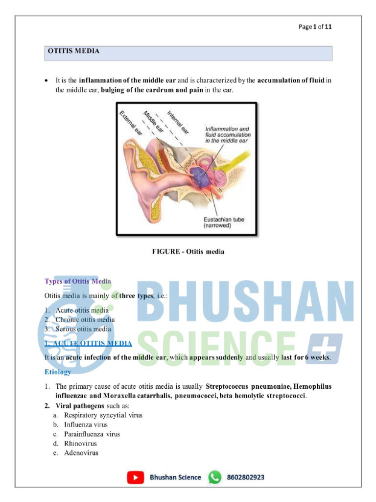 MEDICAL SURGICAL NURSING MANAGEMENT OF EAR DISORDERS | PDF
