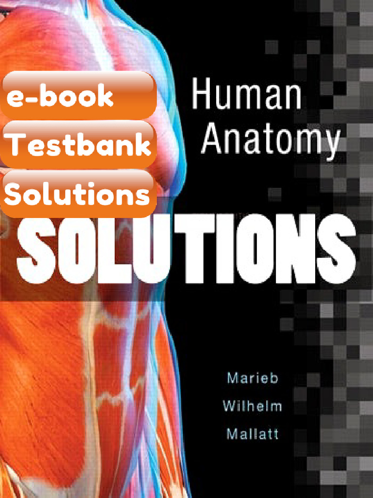 Testbank - Solutions Human Anatomy 8 Ed Marieb | PDF | Services (Economics)