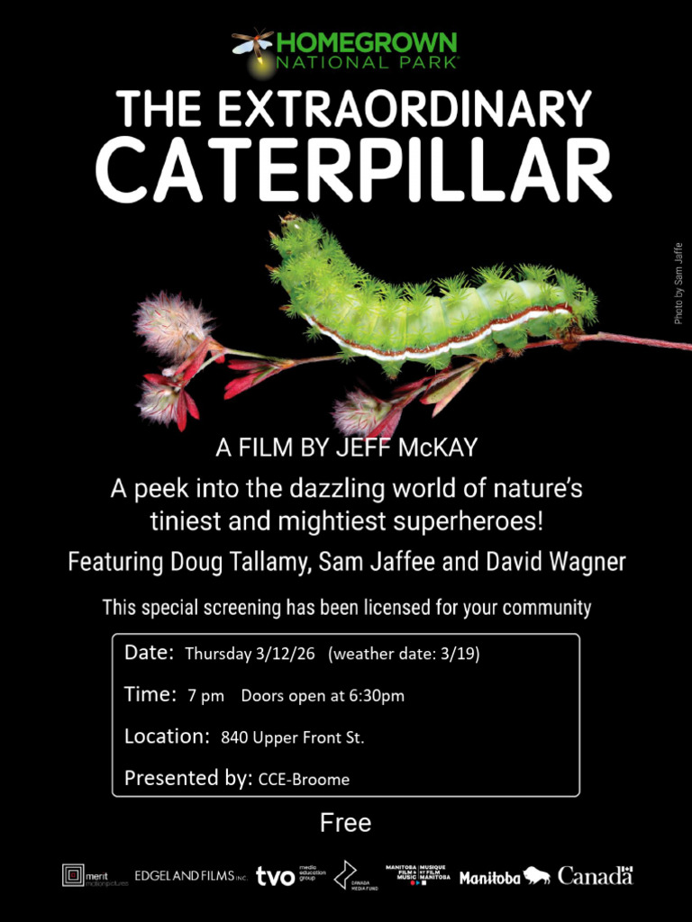 Extraordinary+Caterpillar+Flyer+Color (1) | PDF