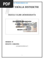 Amanyal'enyoka: UPathekile Nhlapho | PDF