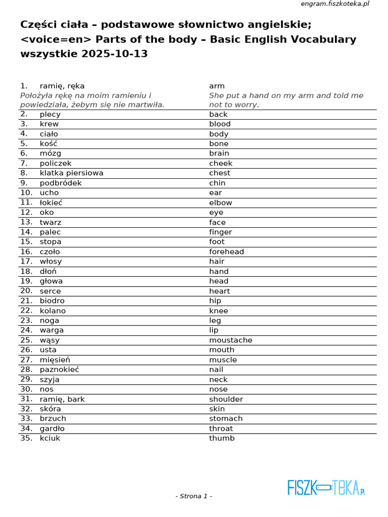 Czesci Ciala Podstawowe Slownictwo Angielskie Parts of the Body Basic ...