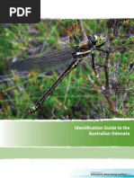 Australian Organism Classification Guide | PDF | Biology | Taxonomy ...