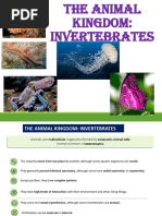 Invertebrate Classification Overview | PDF | Invertebrate | Biology