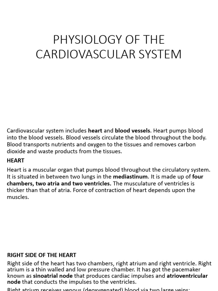 Physiology of The Cardiovascular System | PDF | Atrium (Heart) | Heart