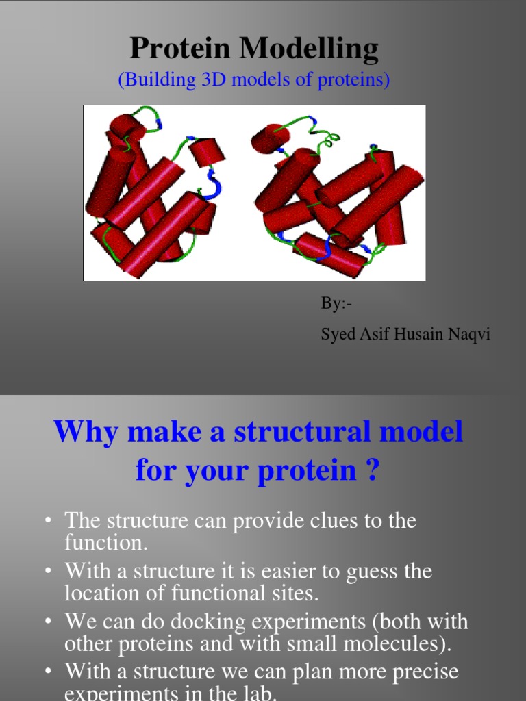 Protein Modelling: (Building 3D Models of Proteins) | PDF | Sequence ...