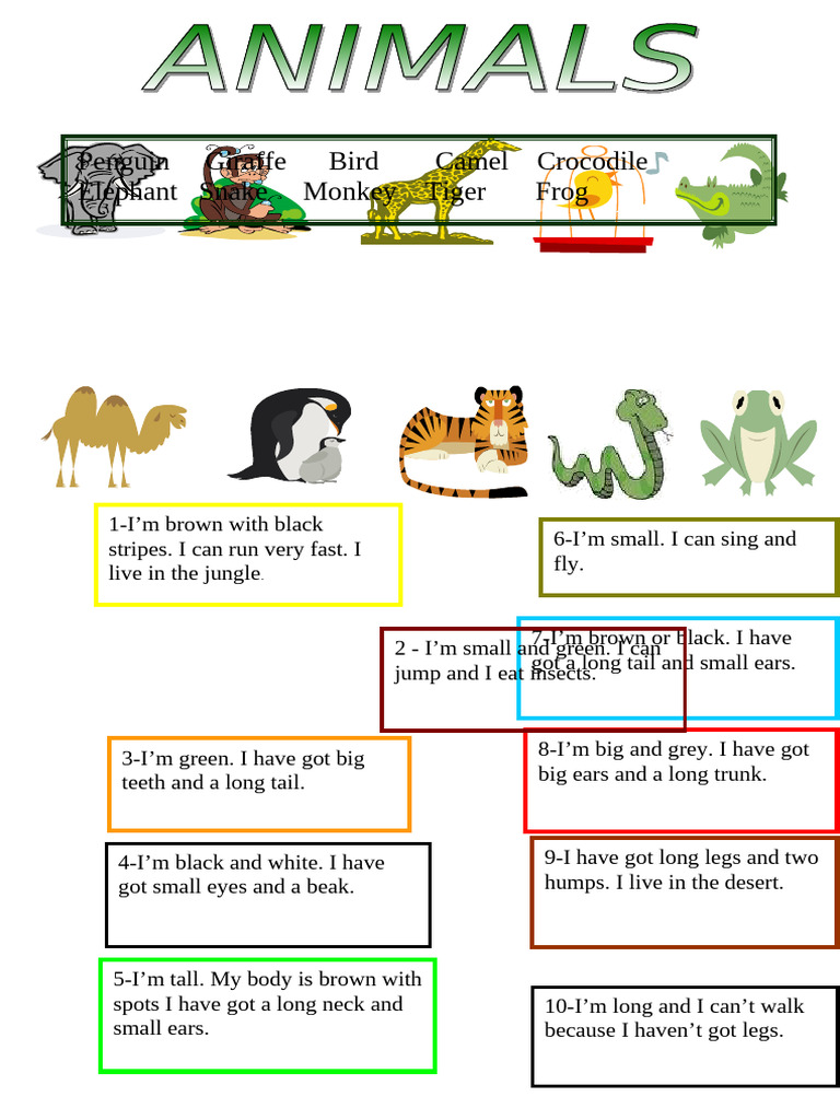 Animals Fun Activities Games 990 | PDF