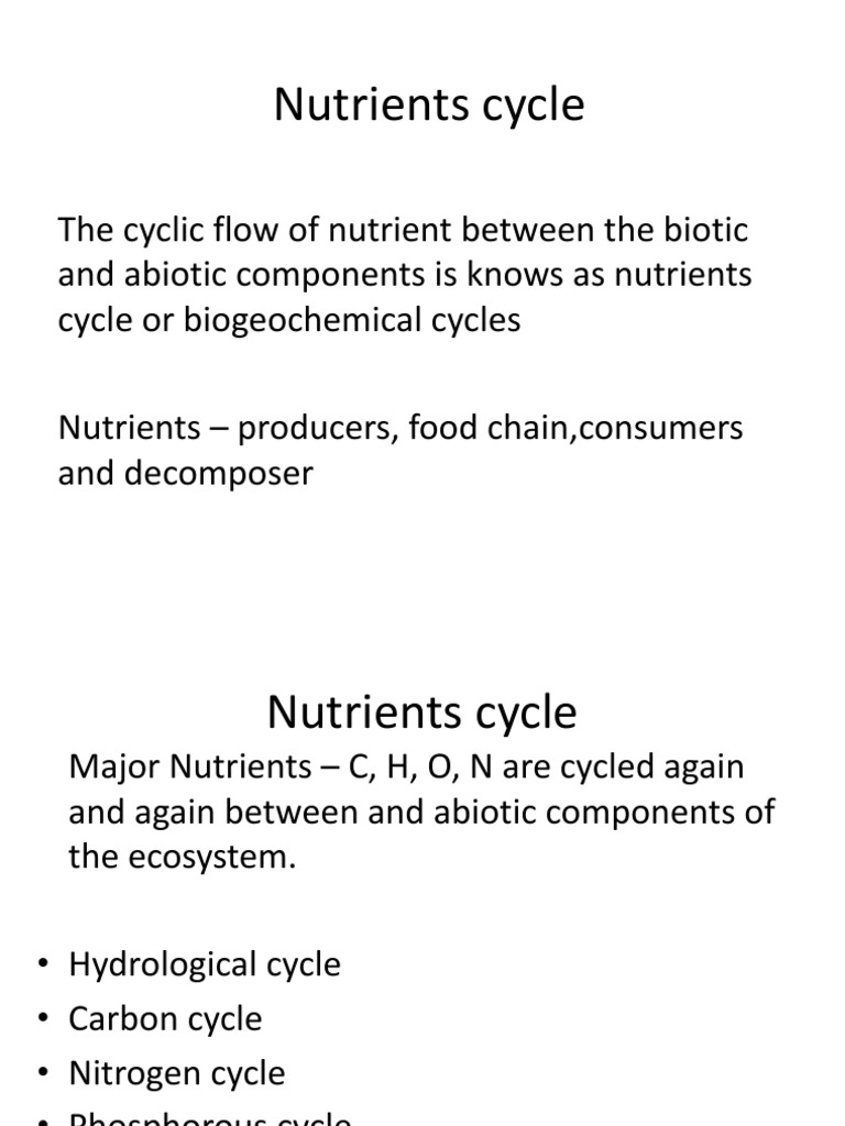 Nutrients Cycle | PDF | Food Web | Ecosystem