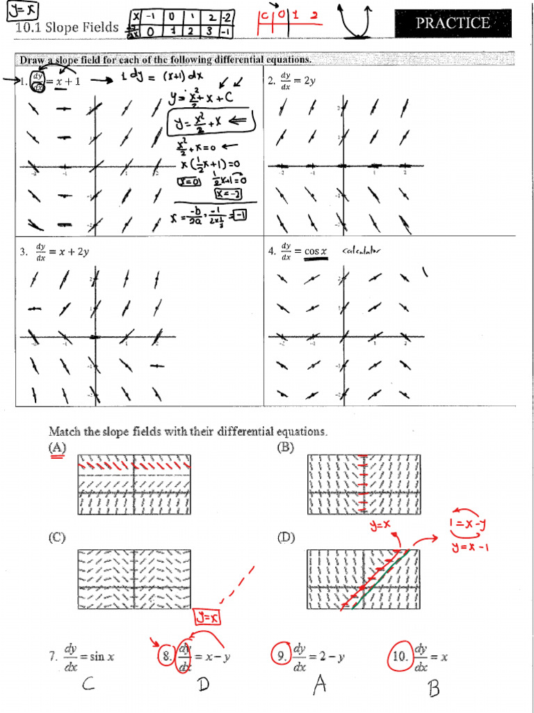 Slope Field Practice Questions | PDF