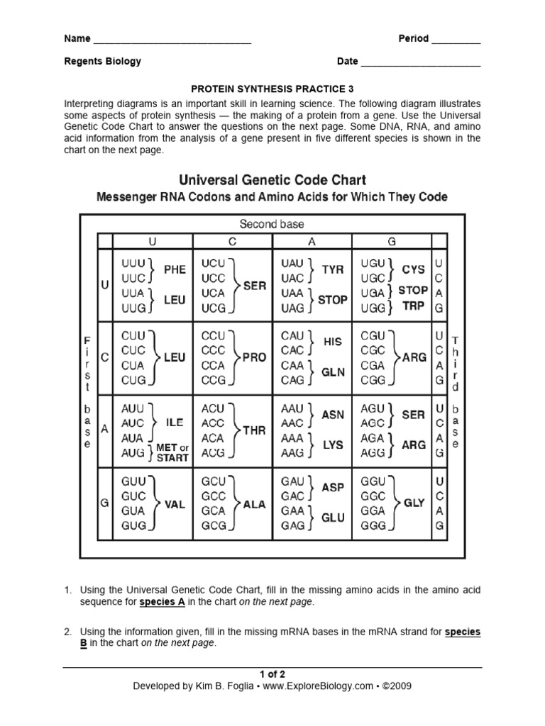 Protein Synthesis Practice 3 | PDF