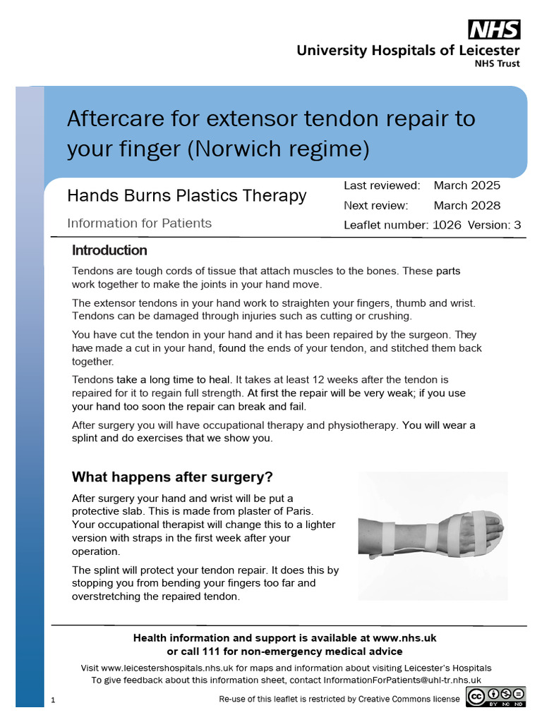 1026_032025 Aftercare for Extensor Tendon Repair to Your Finger ...