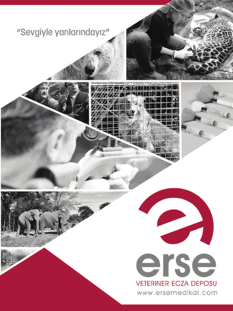 Erse Digital Katalog | PDF