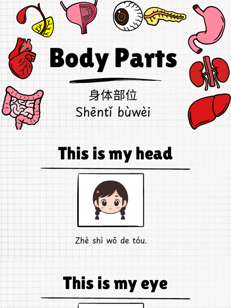 English Body Parts For Basic English.... | PDF