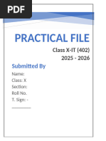 IT Practical File for Class 10 | PDF | Computing