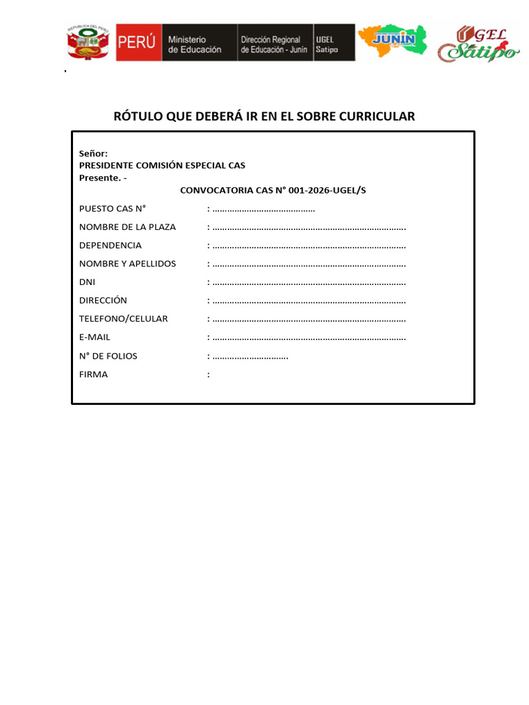 Rótulo Que Deberá Ir en El Sobre Curricular | PDF