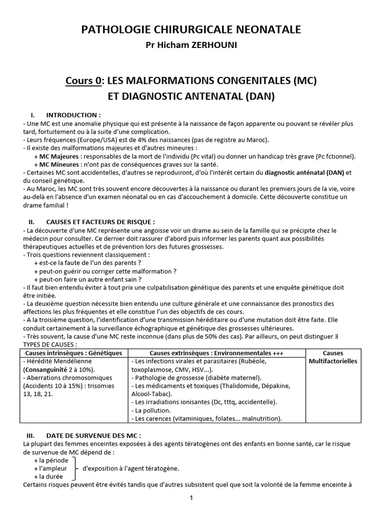 Zerhouni Mep Complete | PDF | Cancer de l'œsophage | Grossesse