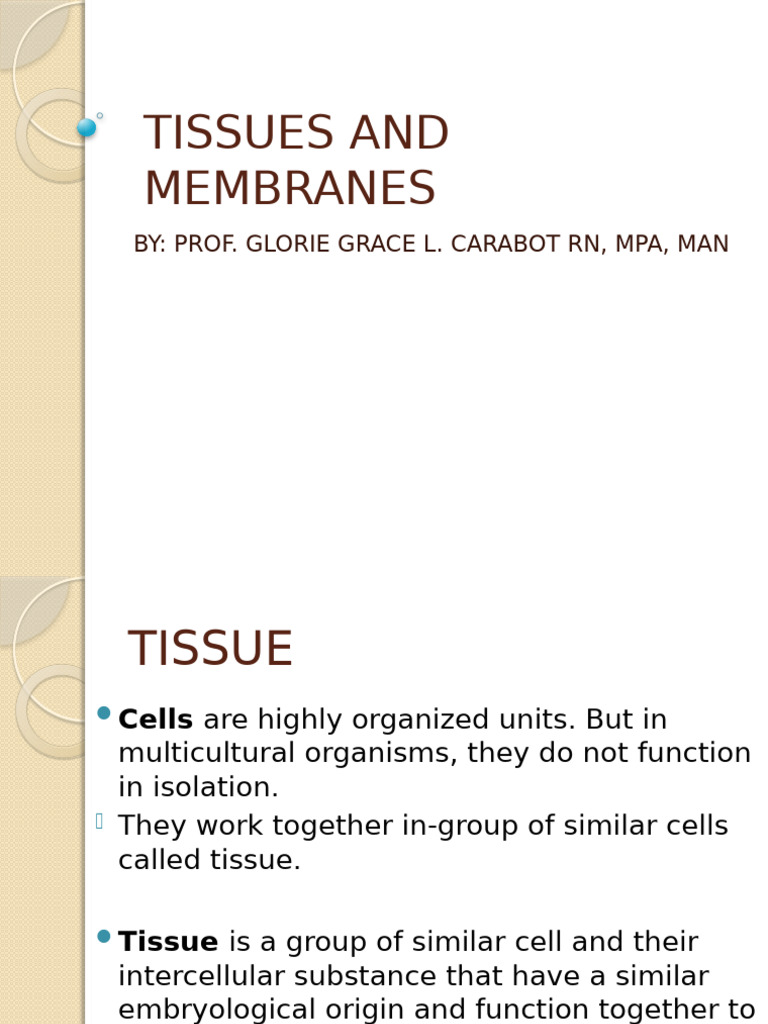 Tissues and Membranes Anp | PDF | Epithelium | Connective Tissue