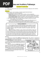 Gans Sensory Organization Performance (SOP) Test | PDF | Vertigo ...