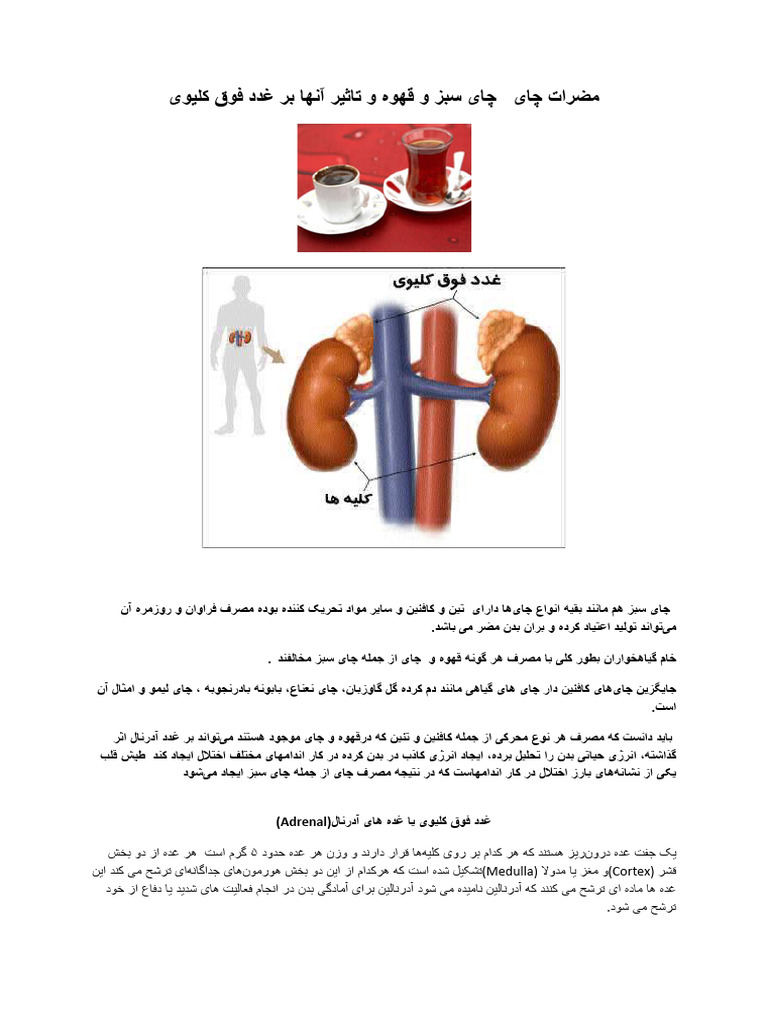 Tea Coffe Note | PDF