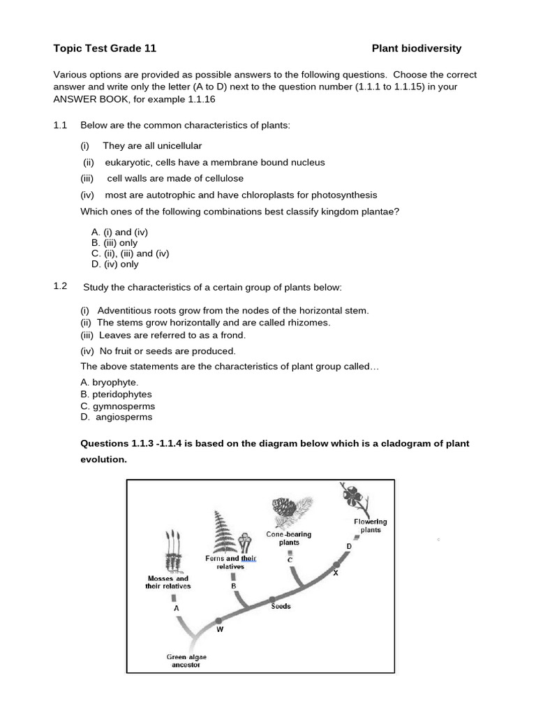 Topic Test-Plant Biodiversity - Grade 11 Edit | PDF | Plants | Flowers