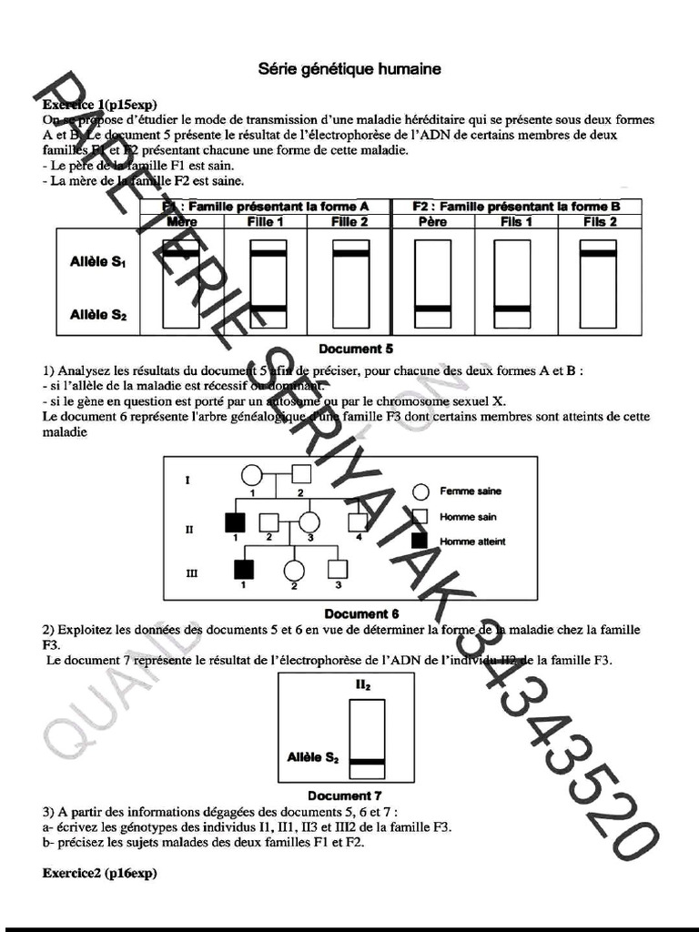 Exercices Corrigés GÉNÉTIQUE | PDF