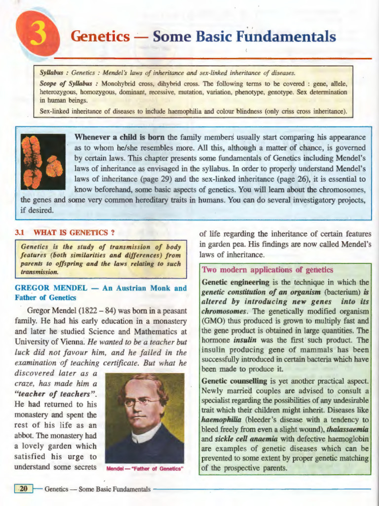 ICSE Class 10 Biology Chapter 03 Genetics Some Basic Fundamentals ...