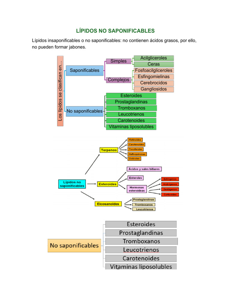 Lípidos No Saponificables 251208 102551 | PDF | Lipoproteína | Lípido