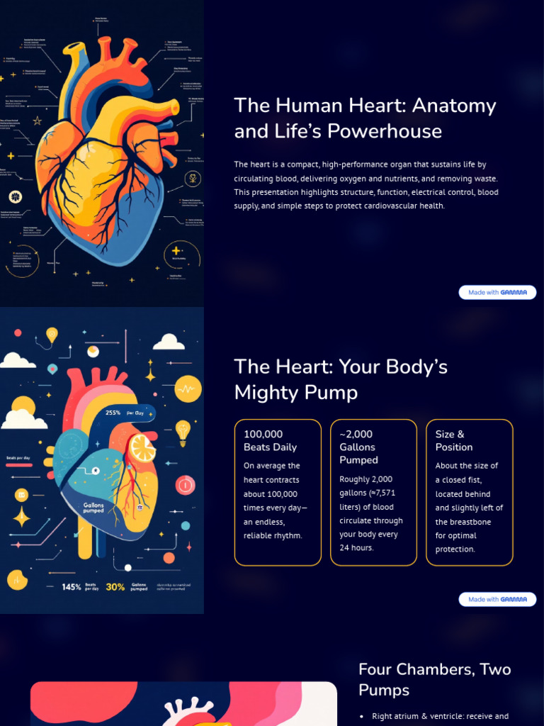 The Human Heart Anatomy and Lifes Powerhouse | PDF | Heart | Ventricle ...
