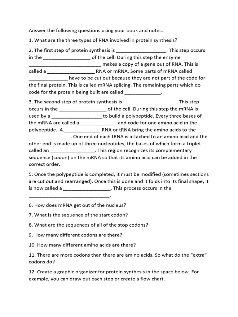 Protein Synthesis Summary Worksheet | PDF