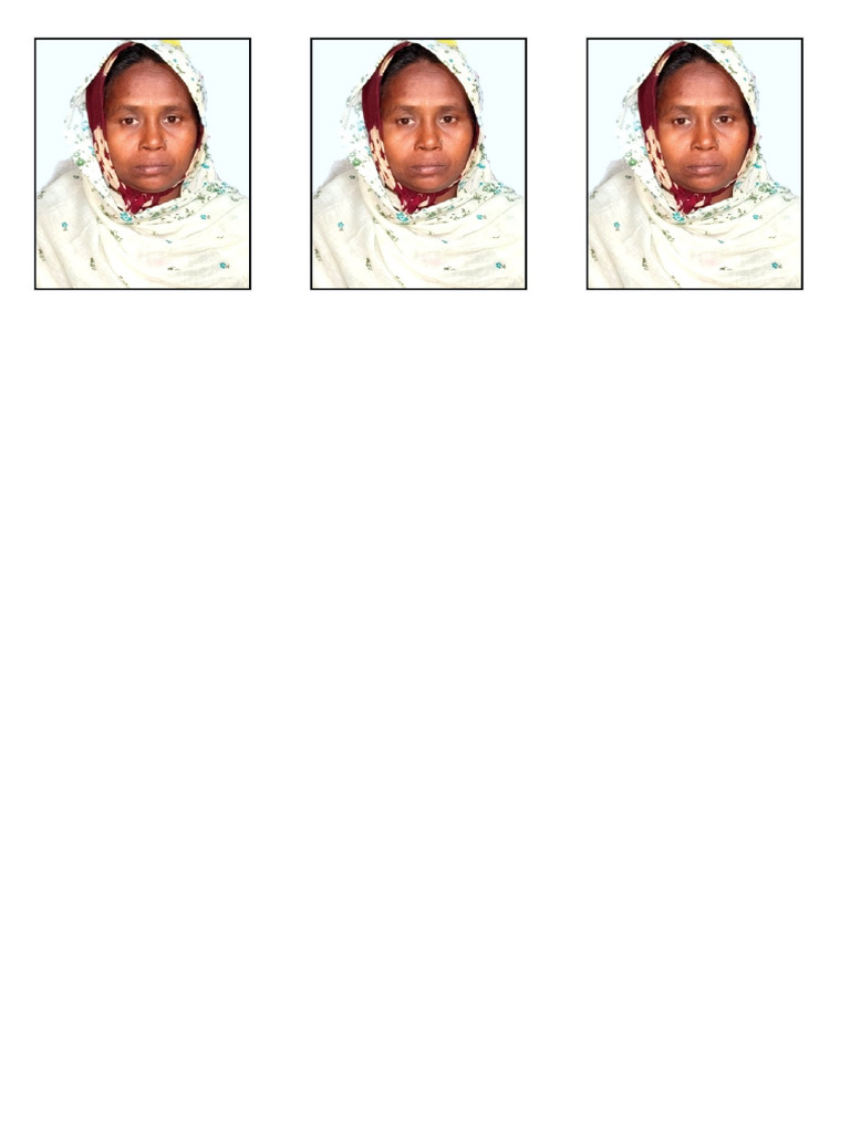 Passport-Sheet-2026-02-14T06-26-41 | PDF