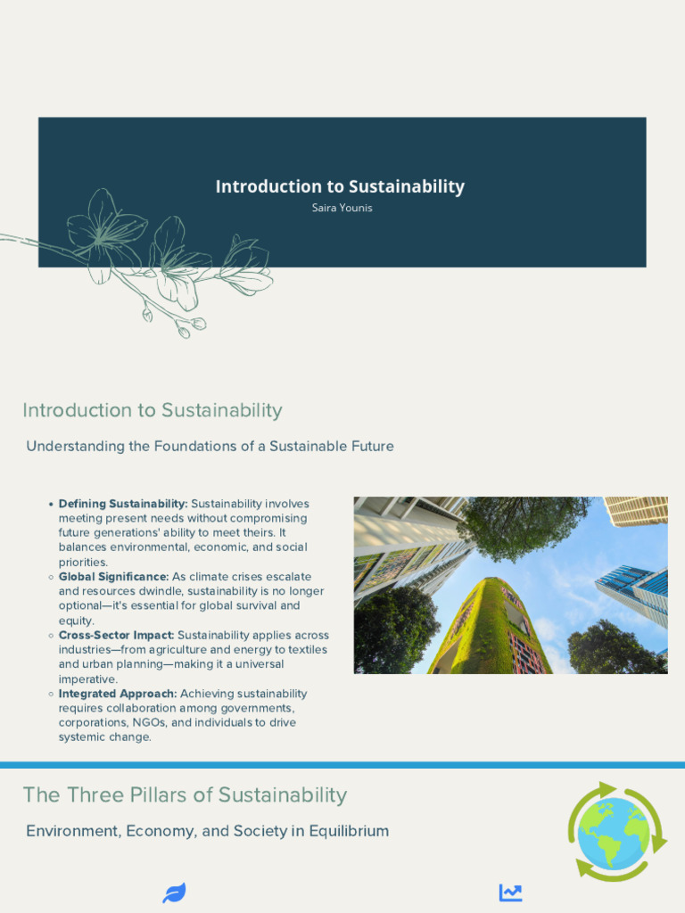 PHMS Class Sustainability | PDF | Sustainability | Corporate Social ...