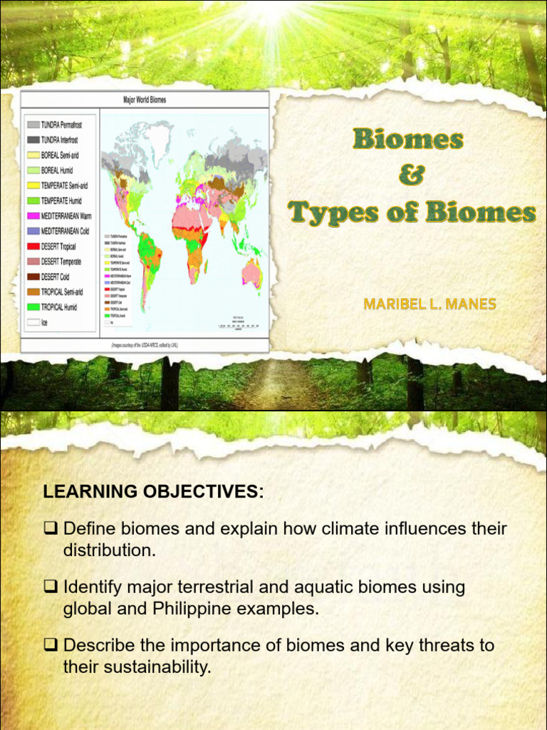 BIOMES Graduate School Presentation | PDF | Forests | Temperate Climate
