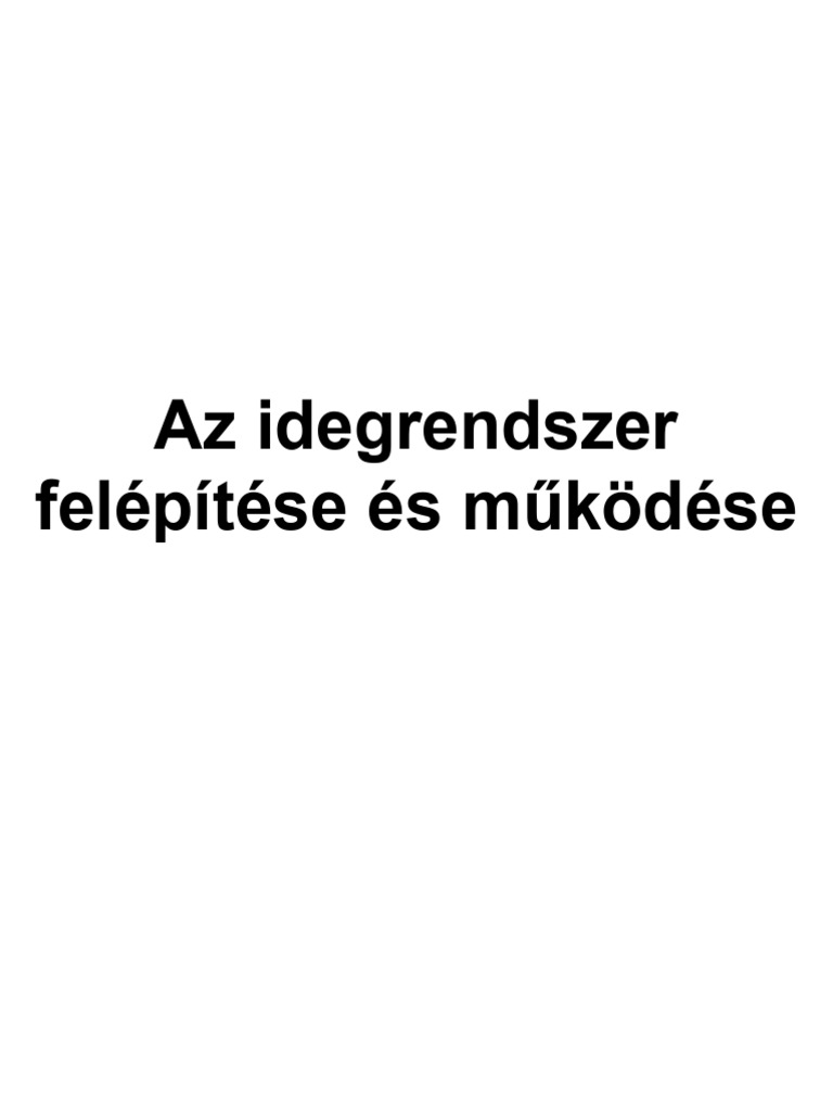 Központi Idegrendszer 2 | PDF