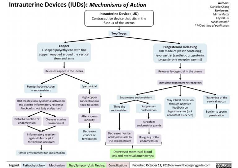 IUDs Mechanism of Action | PDF