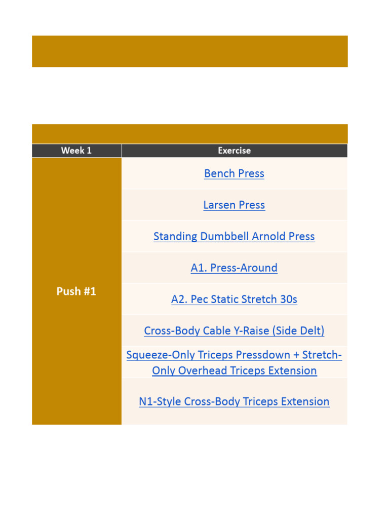 The Ultimate Push Pull Legs System - 5x.xlsx - 5x - Phase 1 | PDF ...