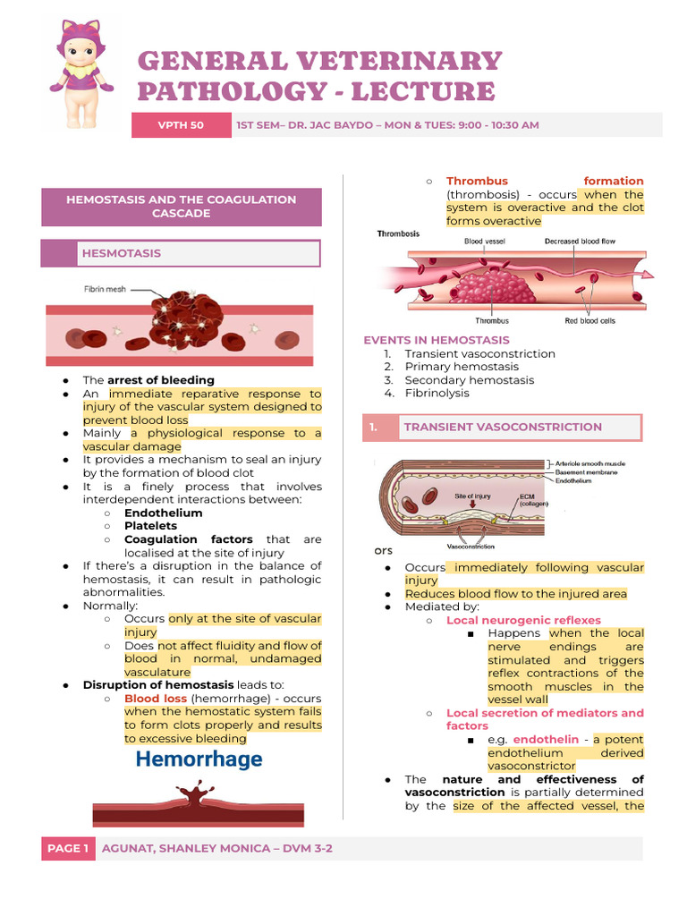 Ix. Hemostasis and The Coagulation Cascade | PDF | Coagulation | Hemostasis