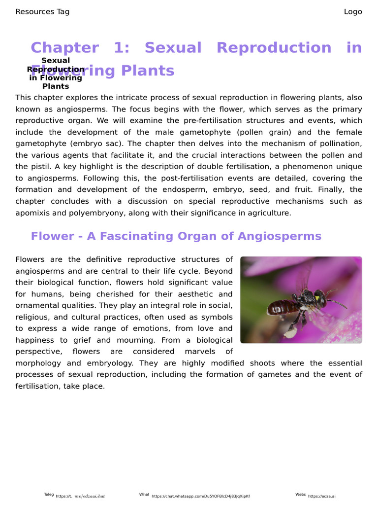Sexual Reproduction in Flowering Plants Notes | PDF | Flowers | Pollination