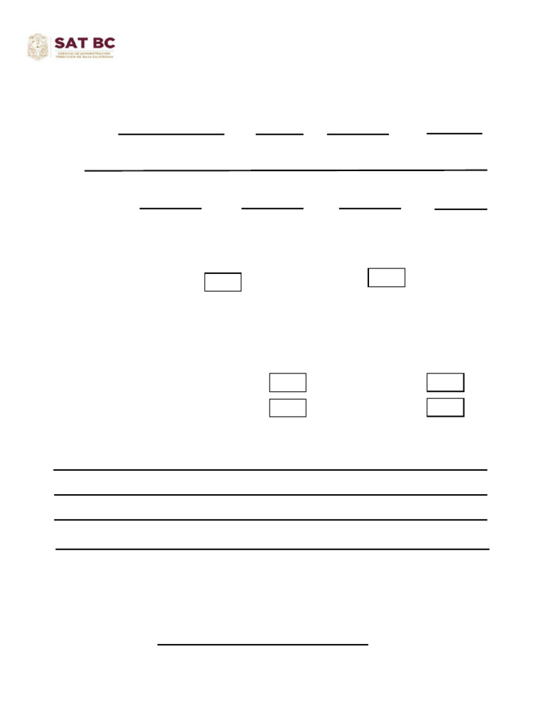 Formato de Baja Definitiva | PDF