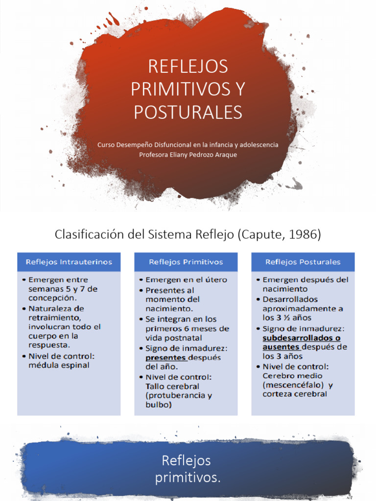 Reflejos Primitivos y Posturales y El Az .. | PDF | Cerebro | Rodilla
