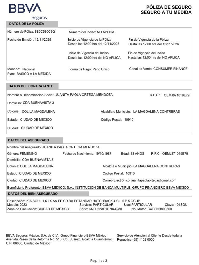 Seg Auto | PDF | Póliza de seguros | Seguro