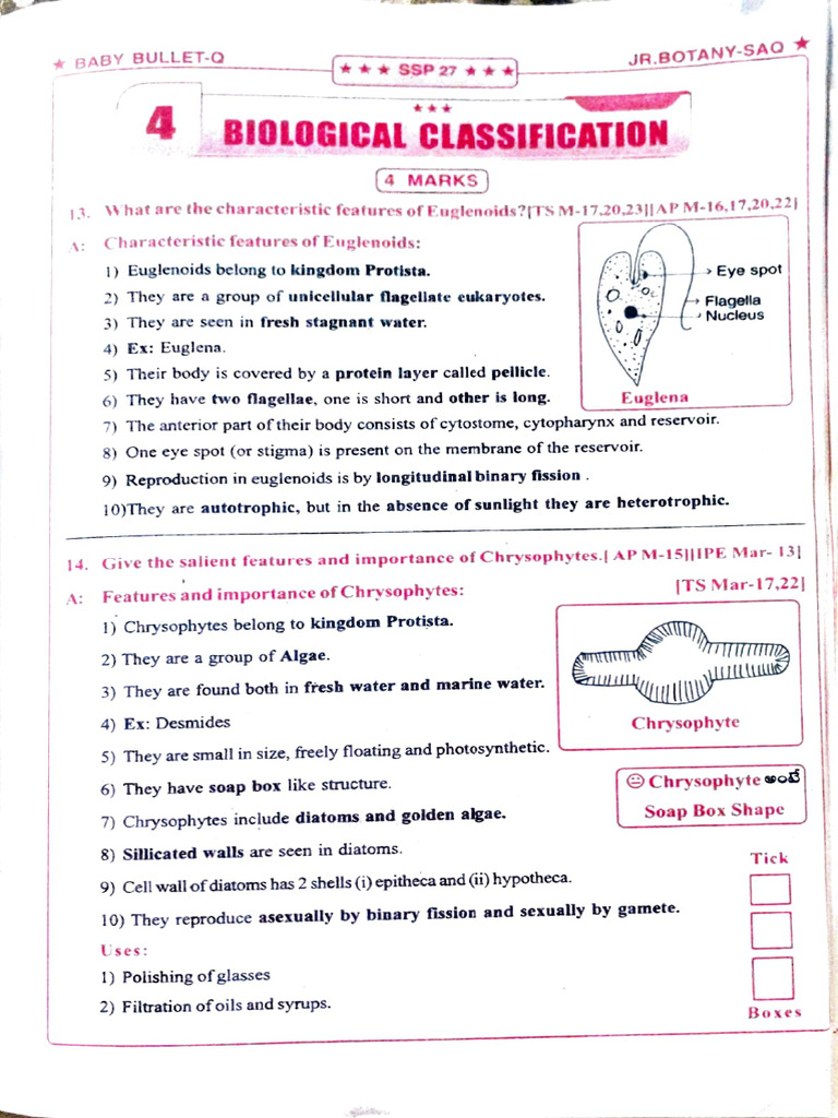 Botany 4 Marks | PDF