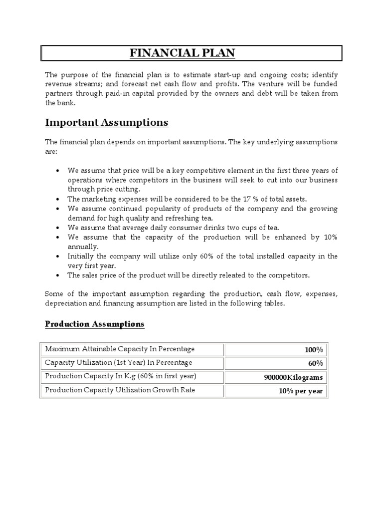 Financial Plan: Important Assumptions | PDF | Depreciation | Expense